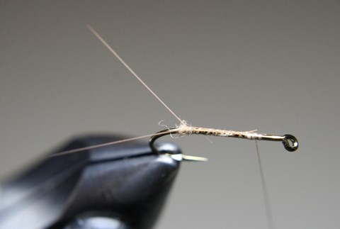 Photos-Montage de la mouche Hendrickson Spinner par David Quenneville